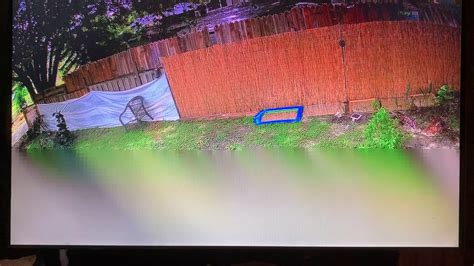 Google Wifi Interference Test Porfootball