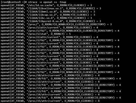 Linux `proc` Filesystem Manipulation Techniques And Defenses Group Ib