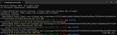 Pythonseleniumchrome自动化测试（简单版）selenium Chrome Csdn博客