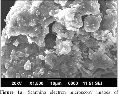 Table 1 From Preparation Of Intranasal Pregabalin Microspheres In Vitro Ex Vivo And In Vivo