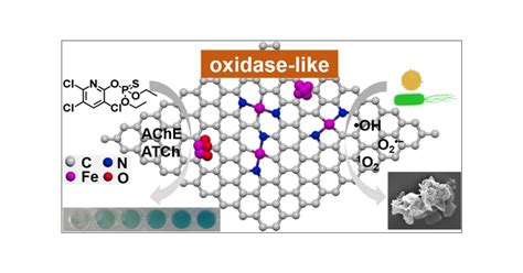 Iron Single Atom Anchored On N Doped Carbon Nanozymes For Chlorpyrifos Detection And