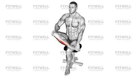 Mobilization Of Ankle Stretch Exercise Guide Techniques Benefits How To Muscles Worked