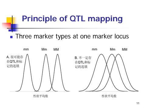 Jiankang Wang Principle Of Qtl Mapping And Inclusive Composite Interval Mapping Icim Pdf