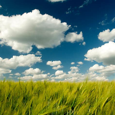 Against The Cloud Hackaday