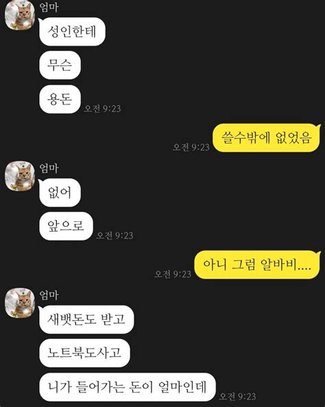 다들 성인되면 엄마가 용돈도 안주고 알바비도 반납하니 인스티즈 Instiz 일상 카테고리