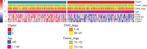 identification of breast cancer subclasses using consensus clustering
