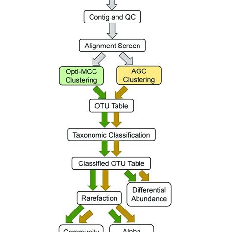 Workflow Used For Each Analysis Download Scientific Diagram