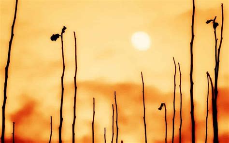 50 Best Hd Wallpapers For Ubuntu Onet Idc Onet Idc