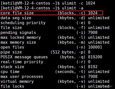 linux 进程信号 csdn博客