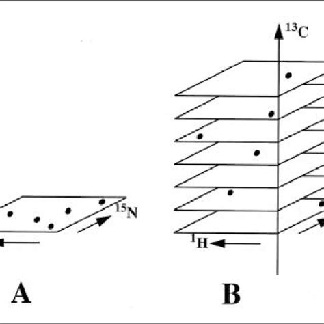 Schematic 2 D And 3 D Nmr Spectrum The Drawing Illustrates The Download Scientific Diagram