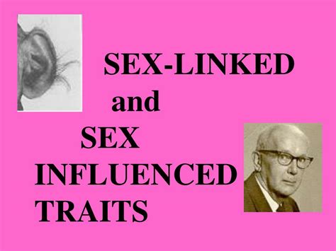 Ppt Sex Linked And Sex Influenced Traits Powerpoint Presentation