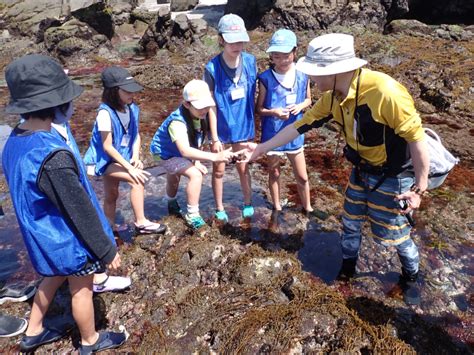 三浦市内の児童対象･ネイチャースクール（城ヶ島）2023 終了 ネイチャースクール 活動blog 海の環境npo法人ows