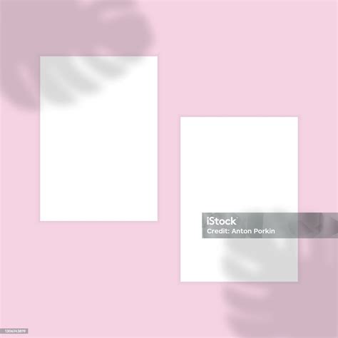 분홍색 배경에 있는 흰색 수직 용지 시트와 몬스터라의 그림자 오버레이 잎 모의 빈 명함 벡터 0명에 대한 스톡 벡터 아트 및 기타 이미지 Istock