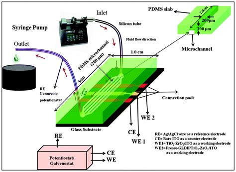 Microfluidics Biosensors