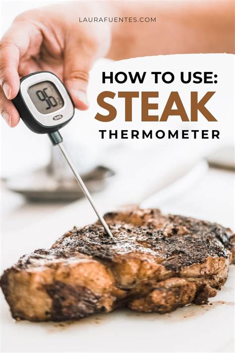 How To Use Steak Thermometer Meat Thermometers Beef Dishes Thermometer