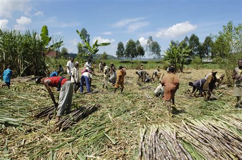 Partenariat Oit Luxembourg International Labour Organization