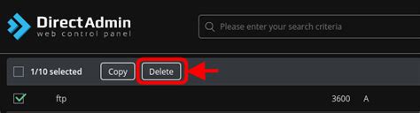 How To Update DNS Records Using Direct Admin Panel