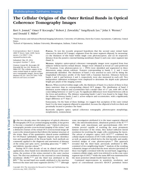 Pdf Author Response Outer Retinal Bands