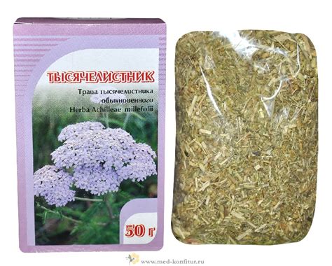 Сбор и заготовка тысячелистника