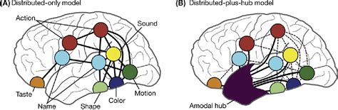 semantic memory model