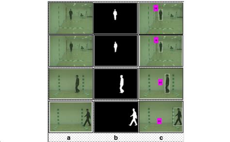 Classification Results For Casia Dataset Download Scientific Diagram