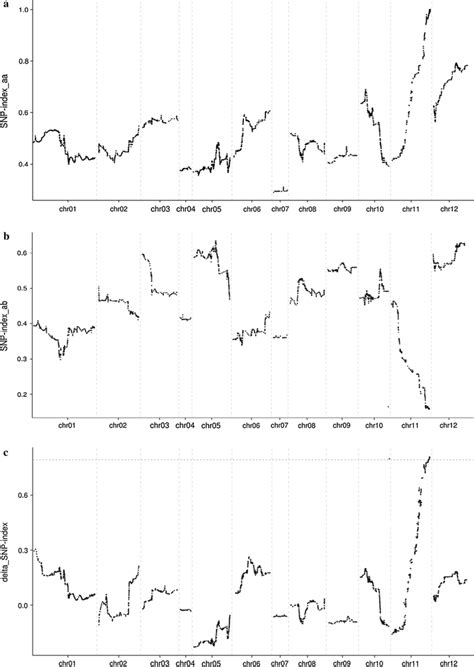 Snp Index Graphs Of R Pool A S Pool B And Δsnp Index Graph C