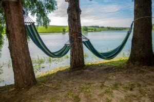 - НИКОЛАЕВКА - ПИКНИК И РИБОЛОВ