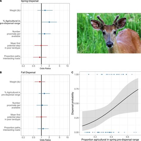 Dispersal Logistic Regression Model Results For Juvenile Male