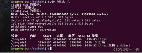 Linux 的基础命令及使用 Csdn博客