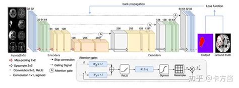 u net 用于生物医学图像分割的卷积网络（冠军） 知乎