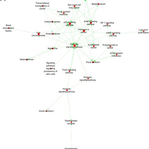 A B The Interaction Network Of Significant Pathway Pathnet Is A