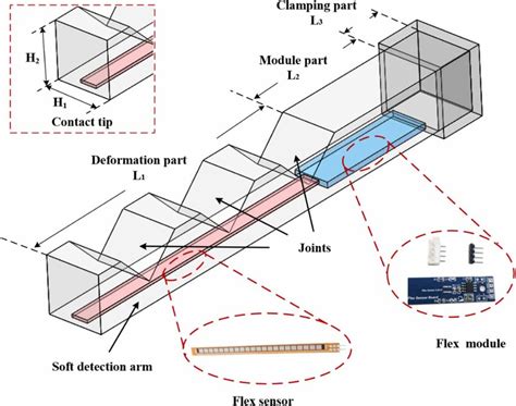 schematic of the soft detection arm download scientific diagram
