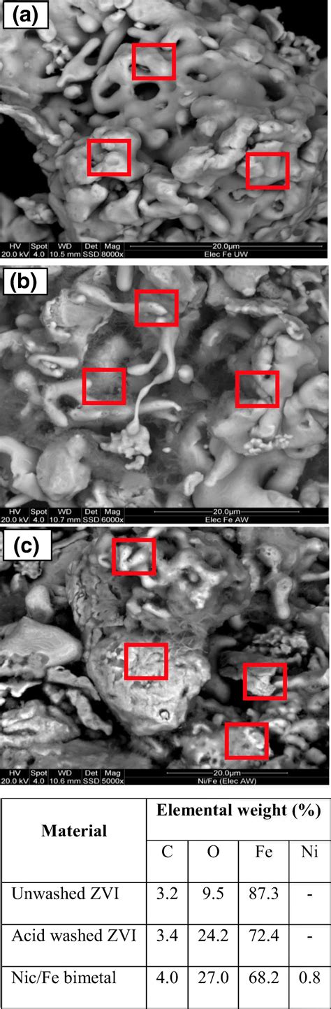 Environmental Scanning Electron Microscopy Images And Elemental