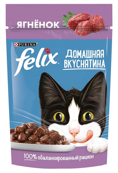 Корм для кошек Феликс Домашняя вкуснятина ягненок 75г заказать и забрать в любом магазине Градусы