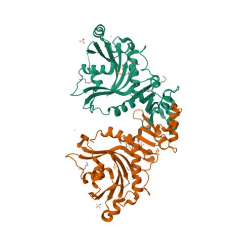 Rcsb Pdb 8twq Structure Of Bacteriophage Lambda Rexa Protein