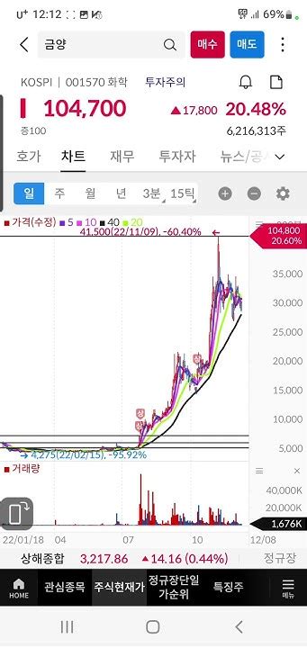 금양 금양대응 금양대응전략 금양목표가 금양주가대응 금양그린파워 금양그린파워주가 금양그린파워목표가 금양그린파워주식 금양그린파워대응 금양그린파워목표주가