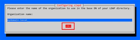 how to install openldap on debian 11