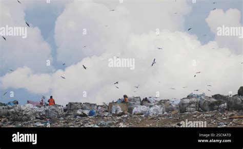 Workers In Uniform Clean Up And Sort Garbage In Big City Dump Recycling