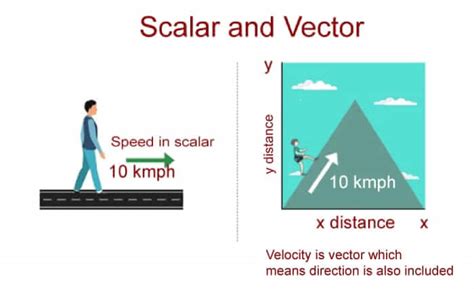Excellent Acceleration Is A Vector Quantity Photographs Acceleration