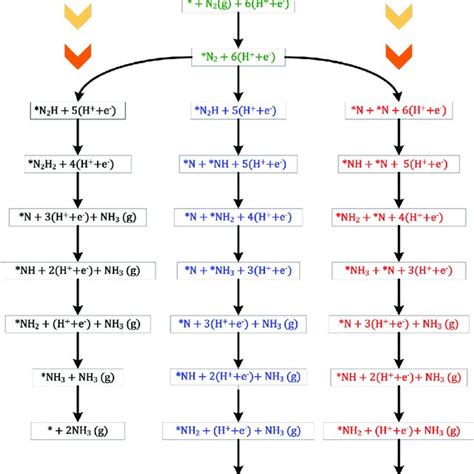 Three possible reaction pathways of electrochemical N 2 reduction to NH ...