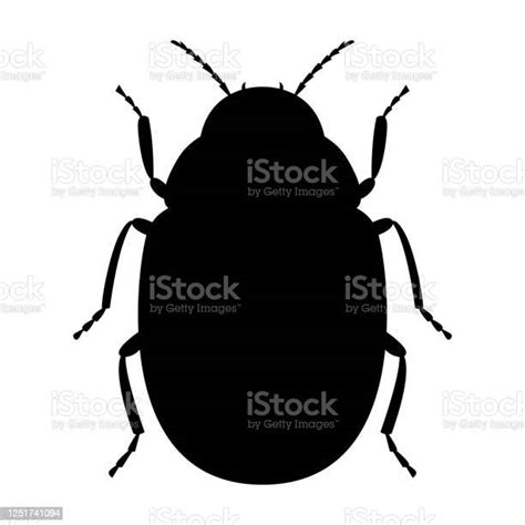흰색 배경에 콜로라도 감자 딱정벌레의 검은 실루엣 벡터 그림입니다 0명에 대한 스톡 벡터 아트 및 기타 이미지 0명 감자 요리 검은색 Istock