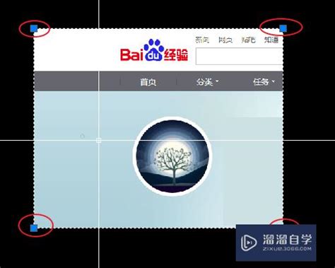 Cad图片无法选中怎么办？溜溜自学网