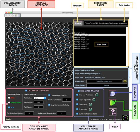 quantifypolarity graphical user interface for quantification of planar