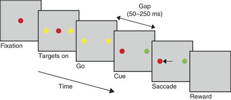 Sequence Of Events In The Compelled Saccade Task A Trial Is Correct If