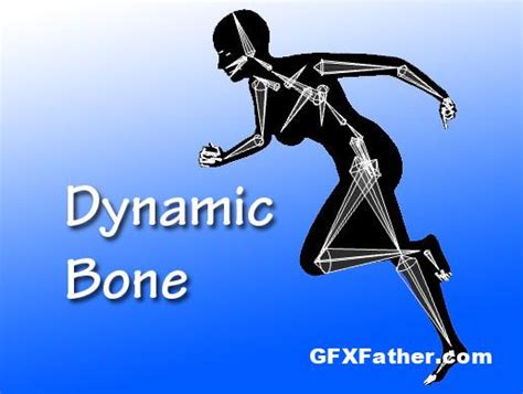 Unity Asset Dynamic Bone V GFXFather