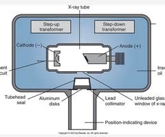 X Ray Tube And Tubehead Labeling Flashcards Quizlet