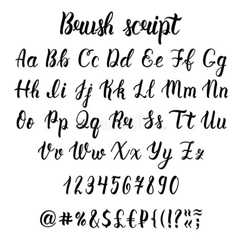 Handwritten Latin Calligraphy Brush Script With Numbers And Symbols Calligraphic Alphabet