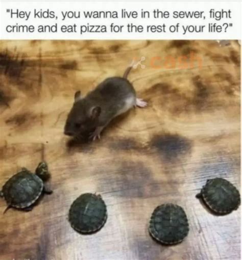 Cowabunga Scrolller