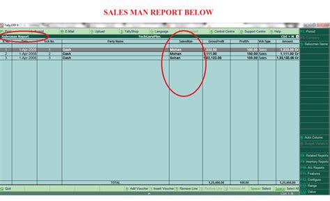 Salesman Wise Sales Report Add On Tdl For Tally Erp 9 Txt Tcp Tdl