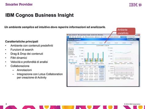 IBM Business Analytics PDF